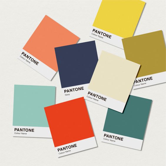ครบจบในที่เดียว Pantone C กว่า 1000 เฉด